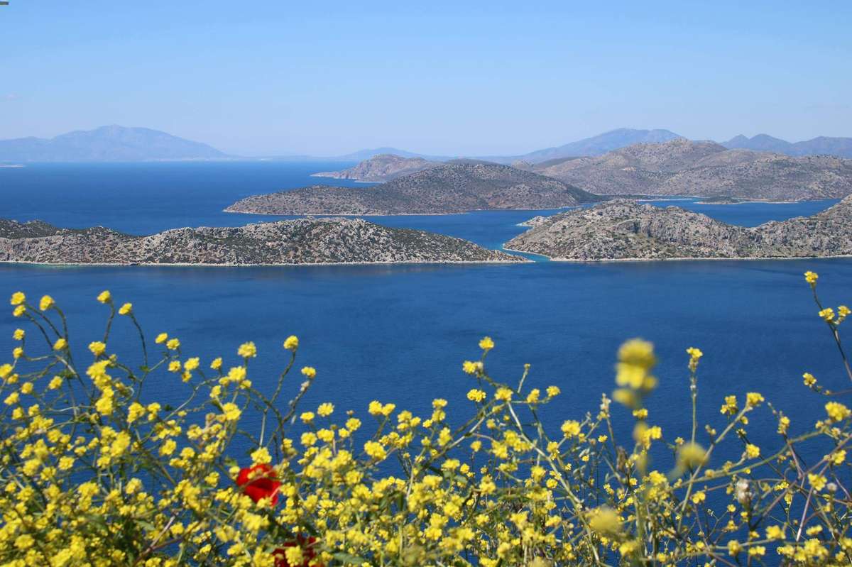 Söğüt köy - Visit My Turkey!